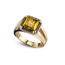 HJGreek | Sigma Gamma Rho | Rings